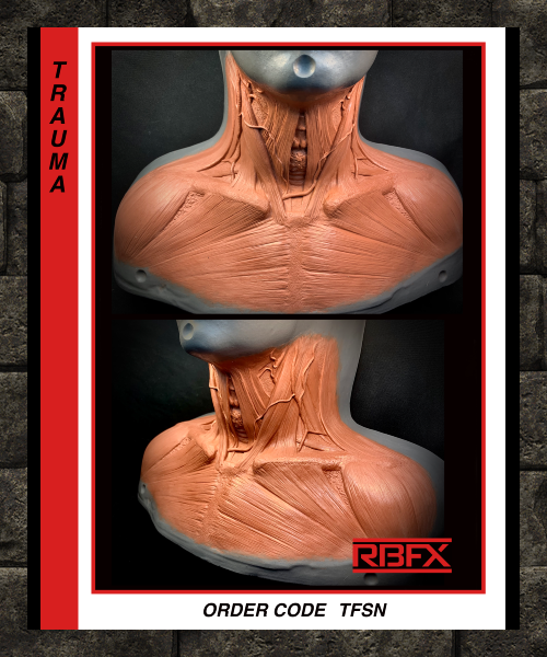 TFSN - SKINLESS/ HELLRAISER/ TRAUMA - Foam Latex – Motion Picture F/X ...